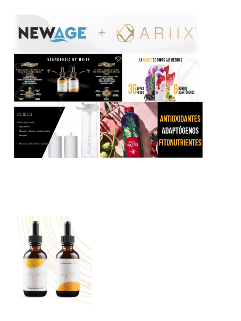 Presentacion Fan Page New Age Ariix | PDF