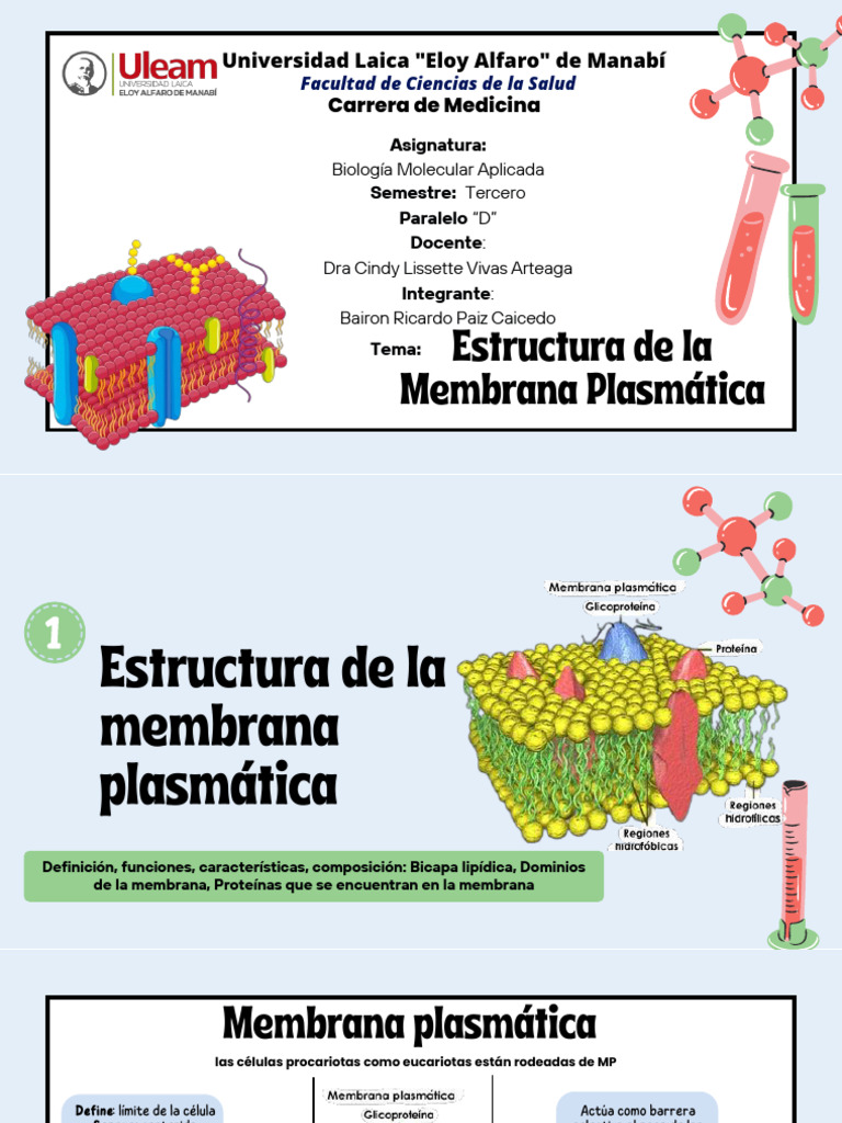 Diapositivas Membrana Plasmatica | PDF | Membrana celular | Bicapa lipídica