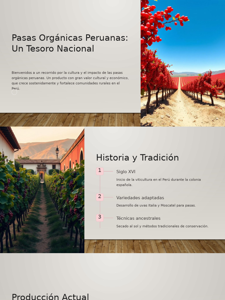 Pasas Organicas Peruanas Un Tesoro Nacional | PDF | Agricultura | Perú