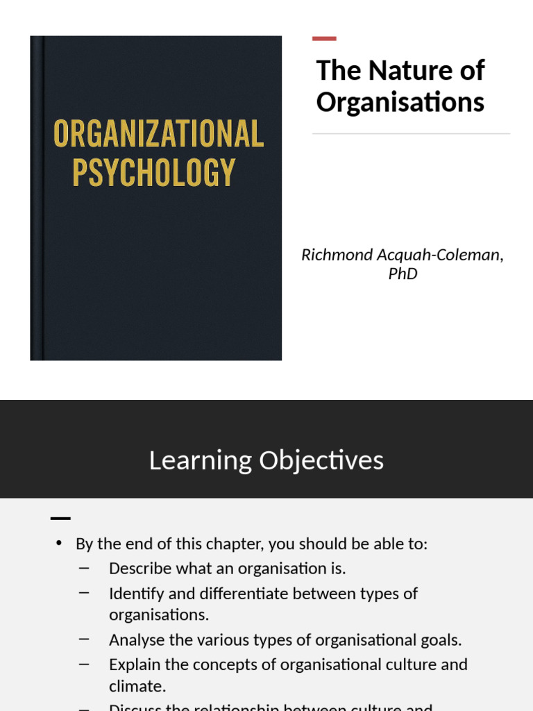 PSYC456 Chapter2 Lecture Slides 2 | PDF | Organizational Culture | Goal