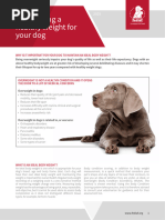 Pet Size o Meter Rabbit | PDF | Obesity | Dieting