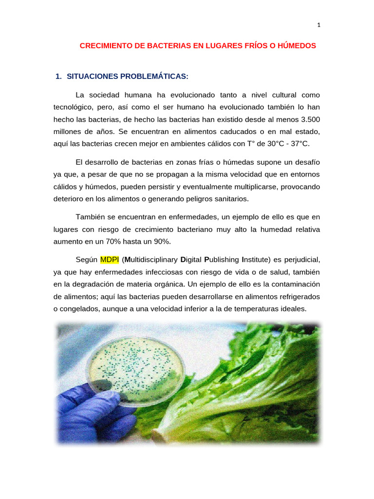La Amenaza de Las Bacterias | PDF | Las bacterias | Alimentos