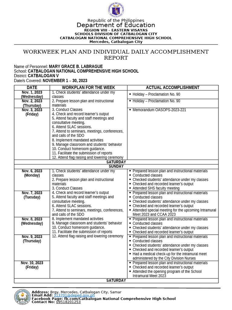 Individual Daily Accomplishment Report 2023 2024 November Labrague | PDF | Lesson Plan ...