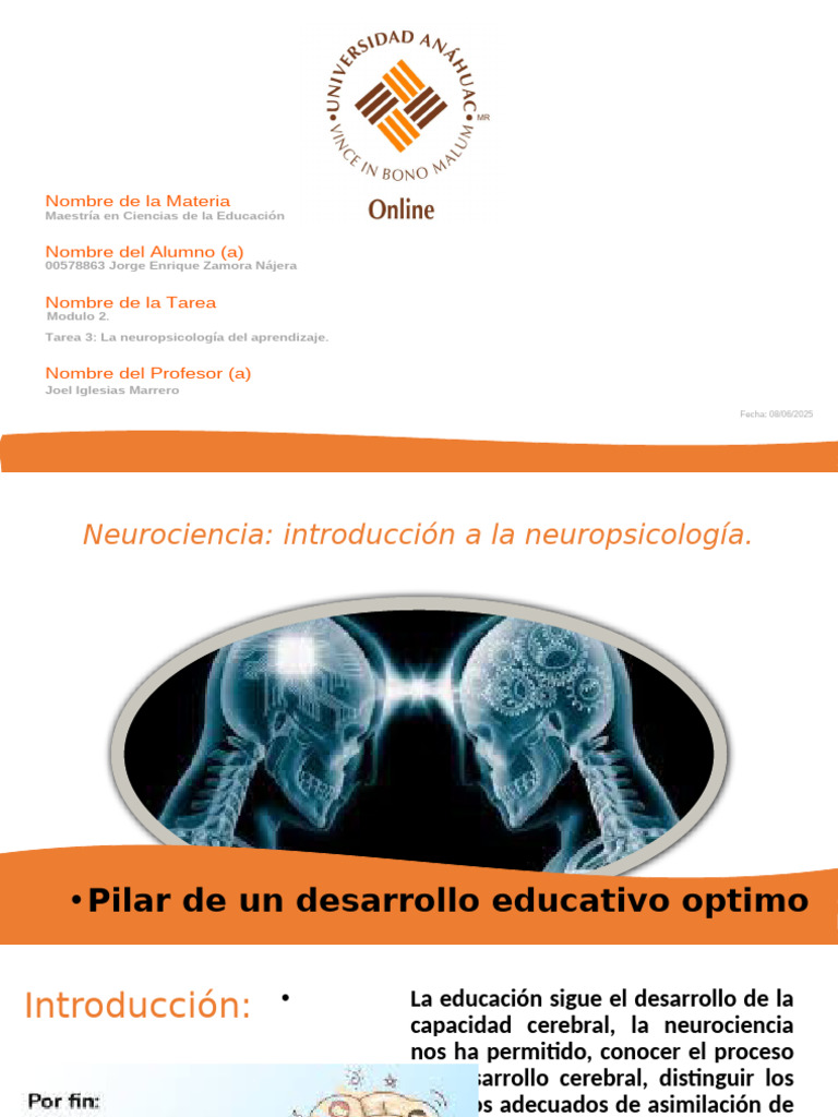 Modulo 2 Tarea 3 Jorge Zamora | PDF | Aprendizaje | Cerebro
