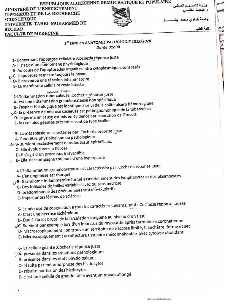 Examen Anapath 2019-2020 | PDF