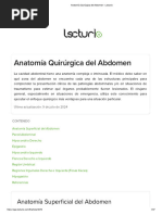 Anatomía de las Fascias de Toldt y Treitz | PDF | Páncreas | Intestino ...
