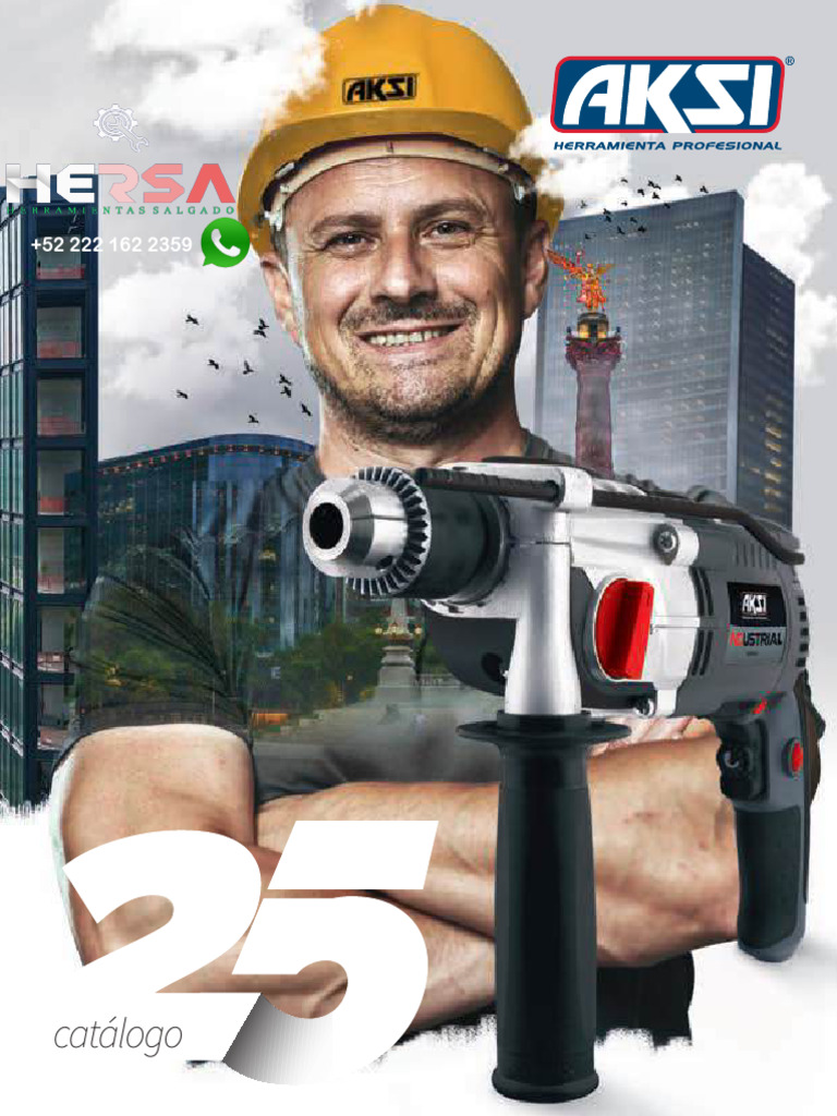 Aksi Catalogo 2025 Con Precios | PDF