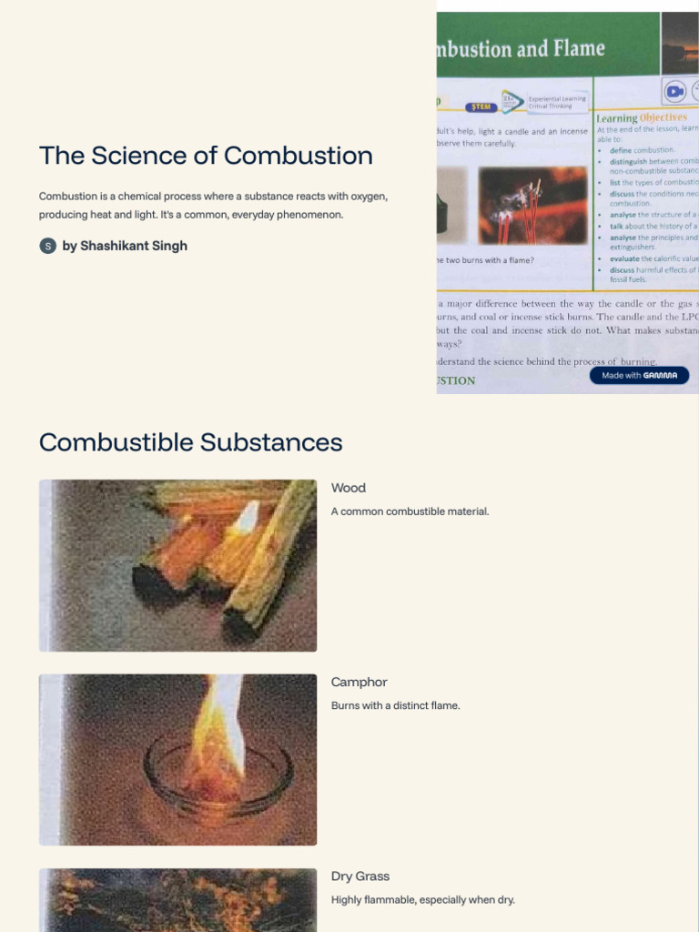 The Science of Combustion | PDF | Combustion | Fires