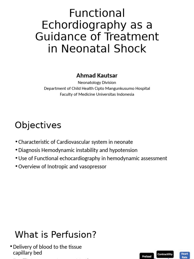 A Kautsar Functional Echocardiography As A Guidance of Treatment in Neonatal Shock | PDF | Shock ...