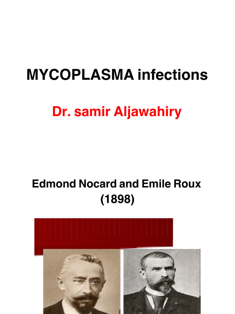 MYCOPLASMA Infections 6 | PDF