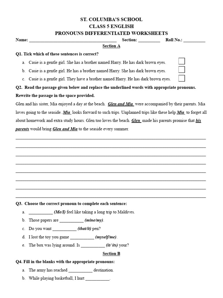 Class 4 Pronouns Differentiated Worksheet | PDF