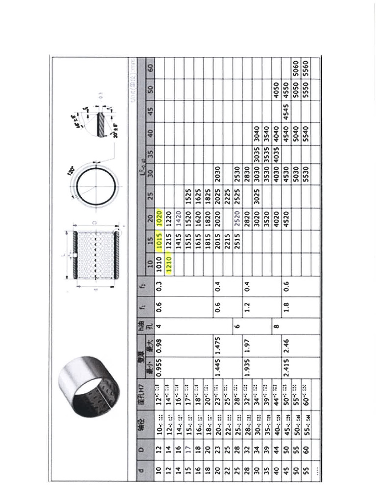 08-10. Du Bush | PDF