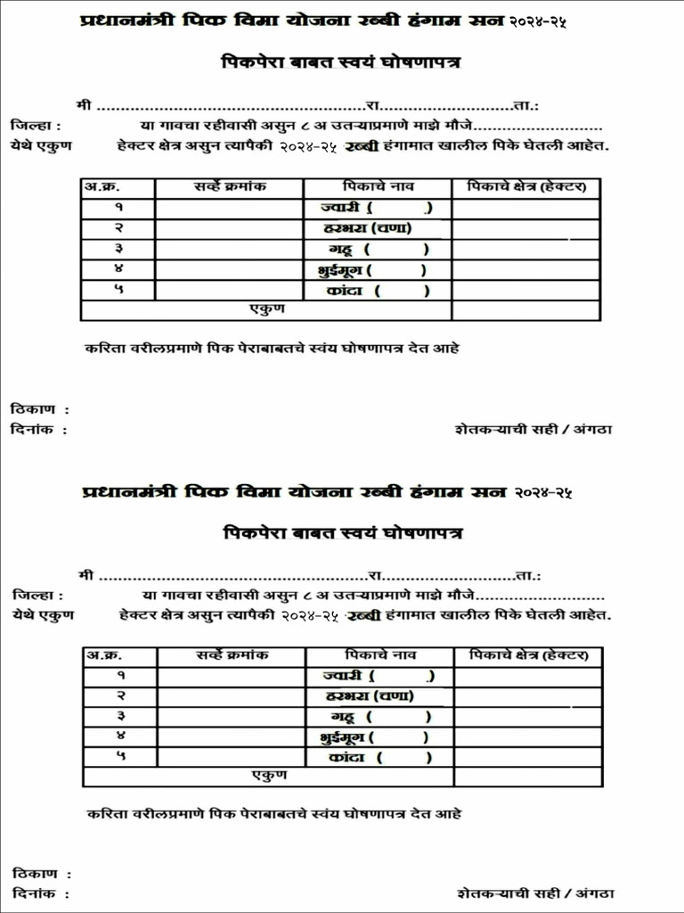 Pikpera Rabbi 2024-25 | PDF