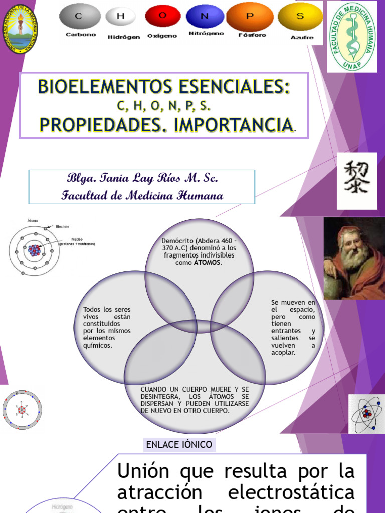 Sesión 10 Bioelementos FMH 2020 Lay | PDF | Oxígeno | Carbón