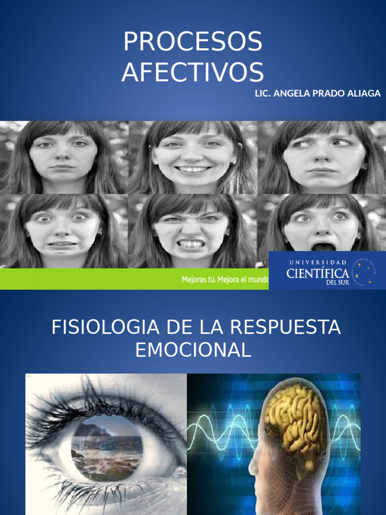 Clase 2 | PDF | Las emociones | Sistema límbico