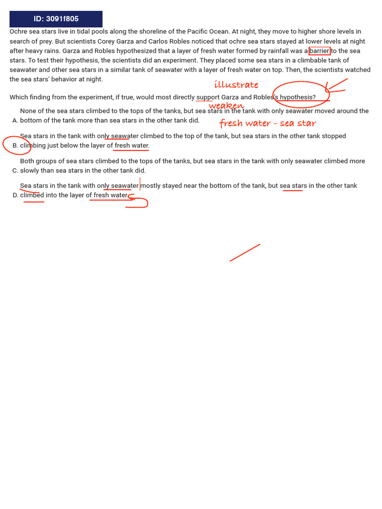 Command of Evidence l1 | PDF | Jaguar | Sea