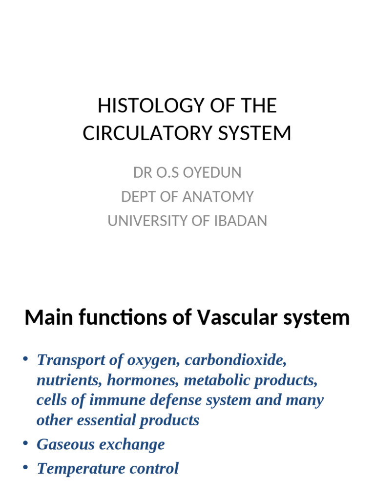 Histology of Arteries and Veins | PDF | Artery | Vein