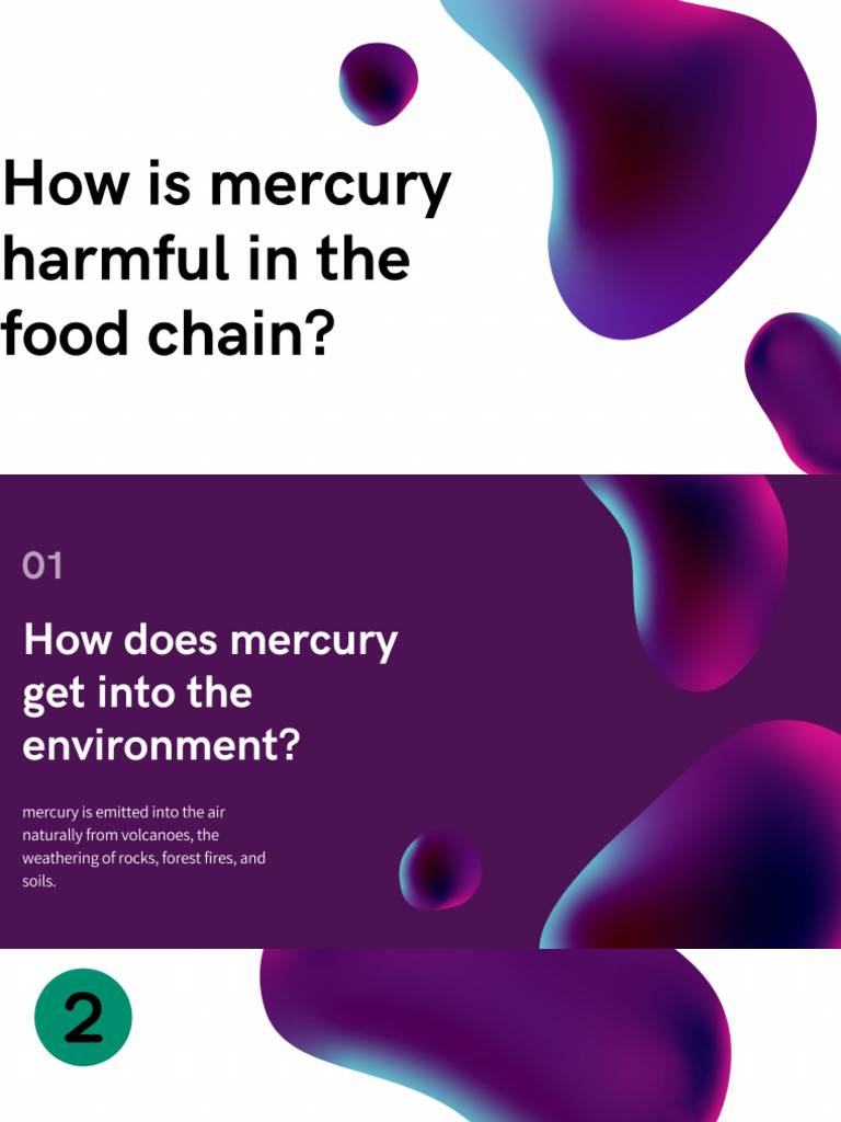 How Is Mercury Harmful in The Food Chain | PDF