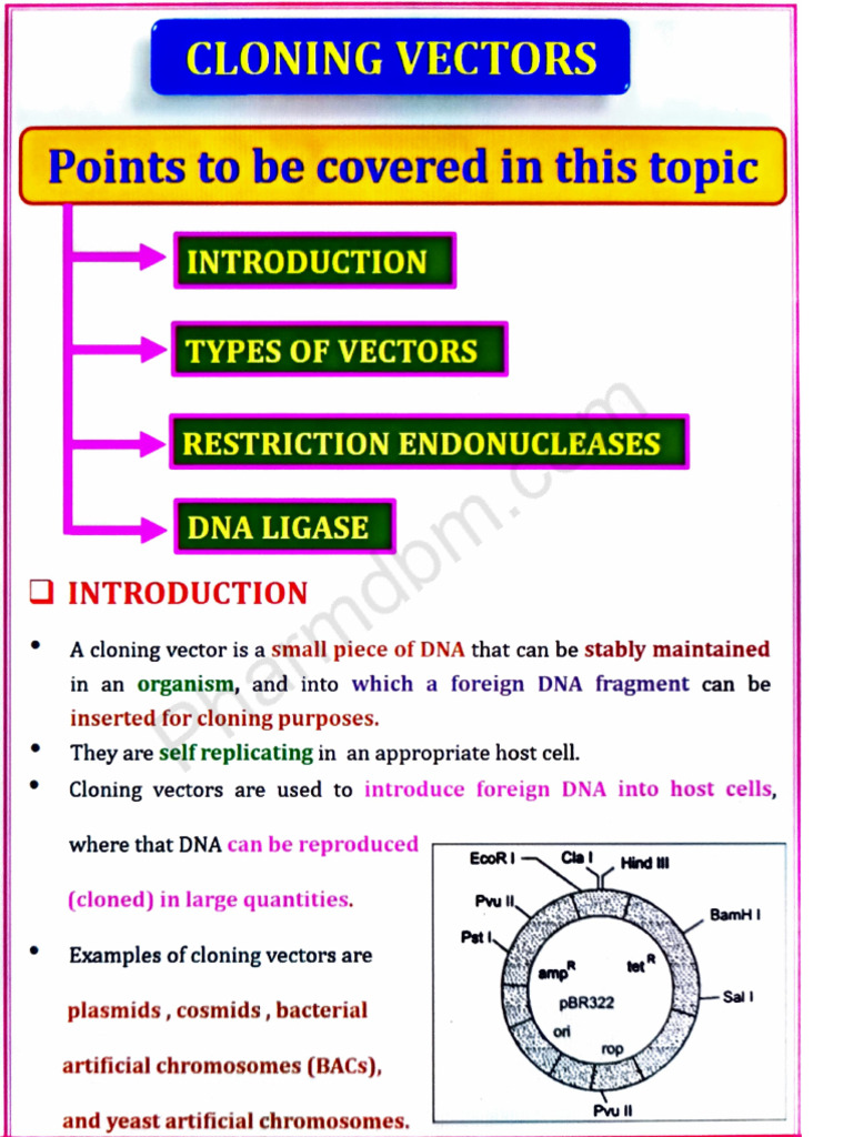 Biotechnology Unit 2 | PDF