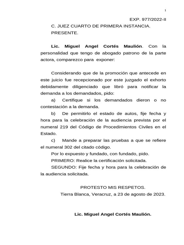 Se Pide Audiencia | PDF