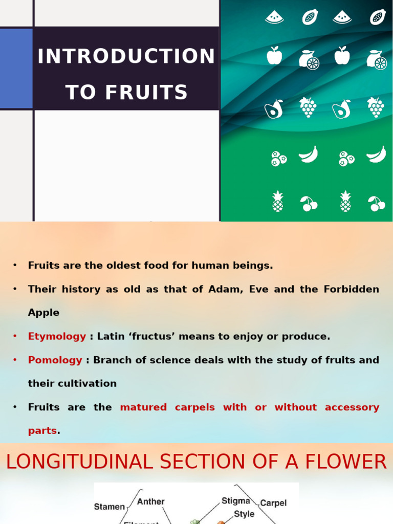 Introduction To Fruit | PDF | Fruit | Edible Plants