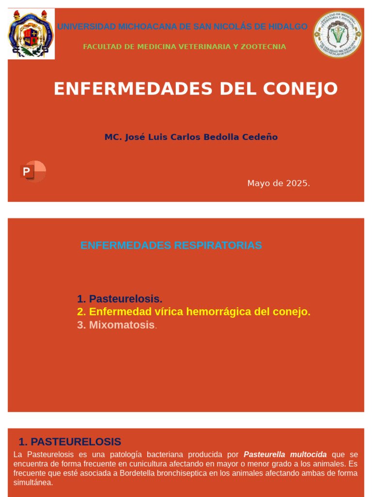 ENFERMEDADES DEL CONEJO 1a Parte 2025 | PDF | Virus | Especialidades ...