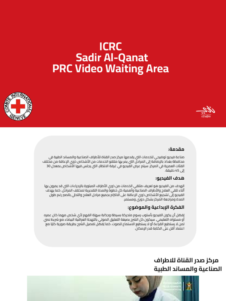 Icrc Iraq Brief | PDF