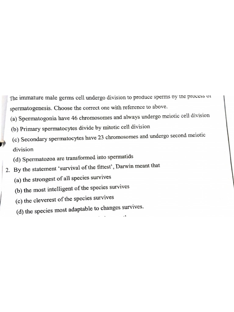 Half Yearly Worksheet | PDF