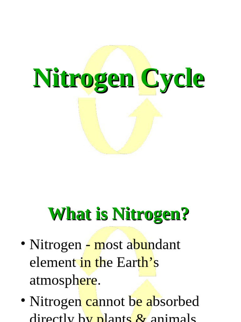 Lecture 33 Nirogen Cycle | PDF | Nitrogen | Nitrate