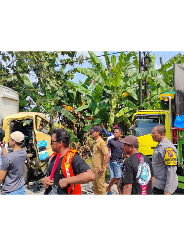 WPS Office Scan 20250621 124034 | PDF