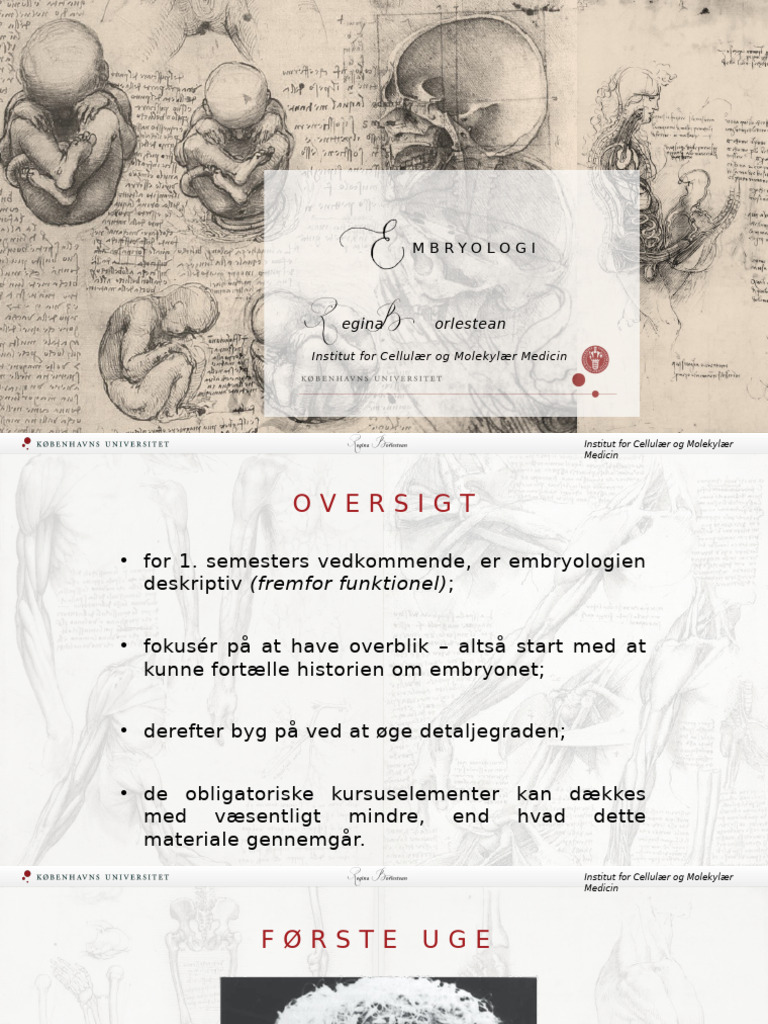 AX0 - Embryologia | PDF