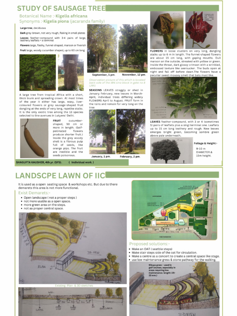 Individual Work | PDF
