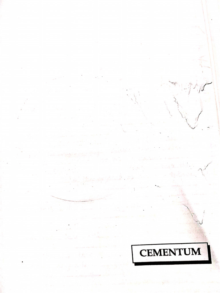 cementum | PDF
