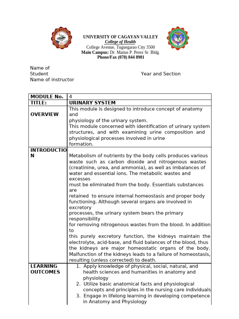 MODULE No 4. Urinary System - Final | PDF | Urinary System | Kidney