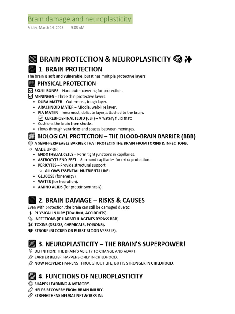 Brain Protection and Neuroplasticity Insights | PDF | Meningitis ...