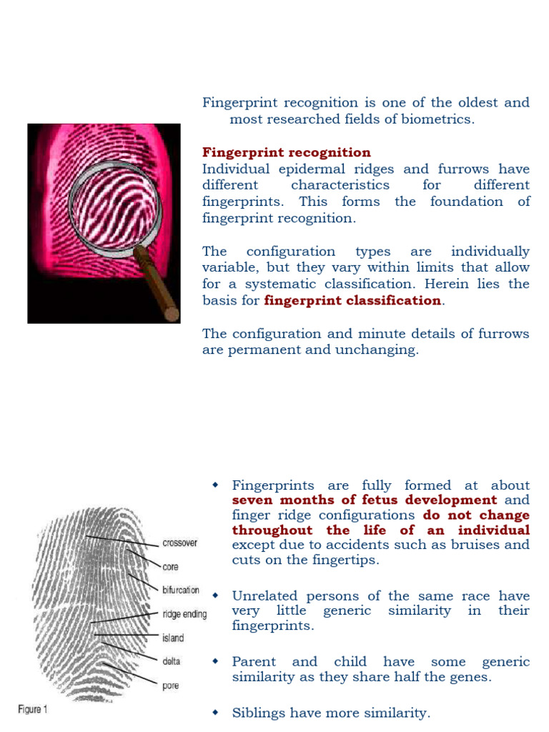 4-Fingerprint Presentation and Acquisition-10!01!2025 | PDF ...