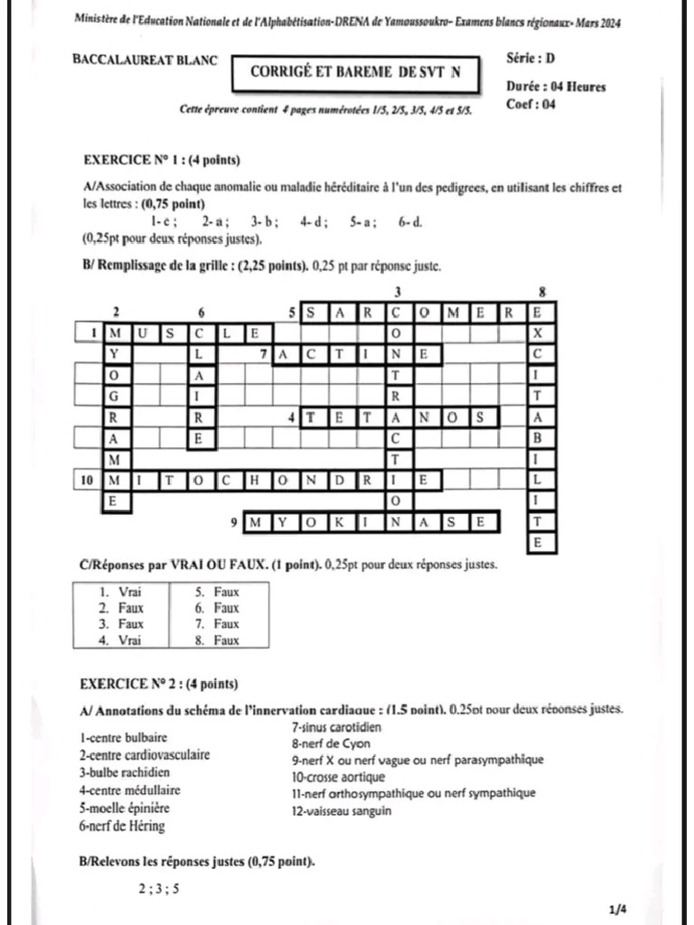 Cor Bac D SVT A | PDF