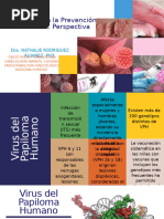 VPH Protocolo 2025 | PDF | Especialidades Medicas | Salud pública