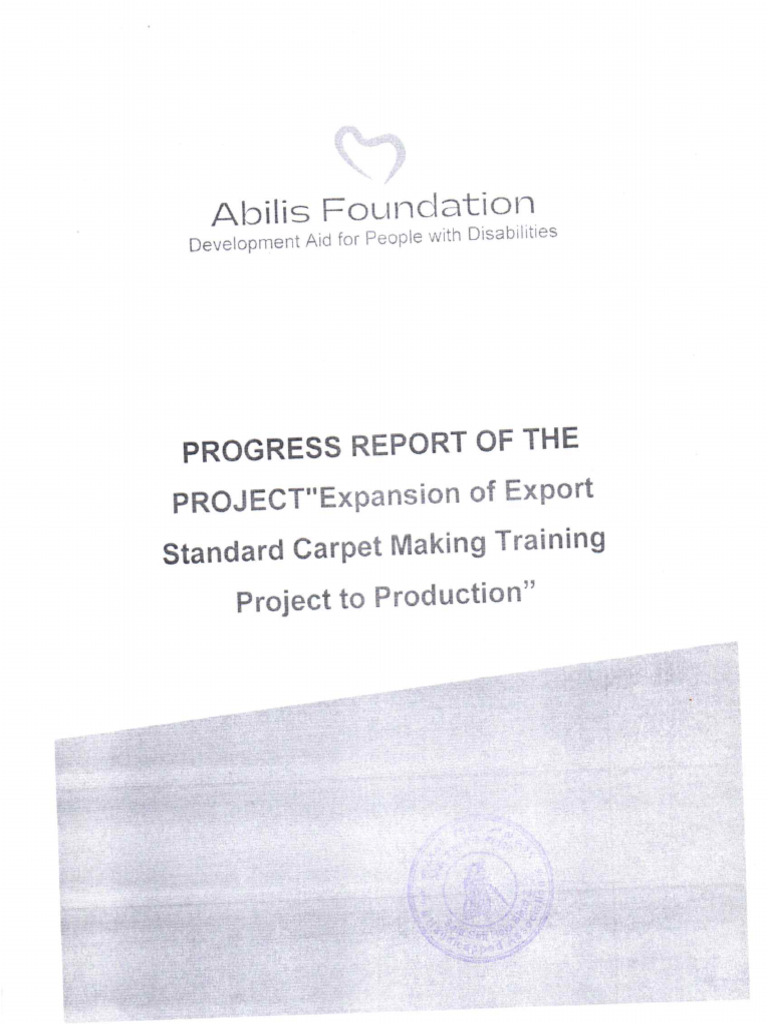 Ab Foundation Progress Report | PDF