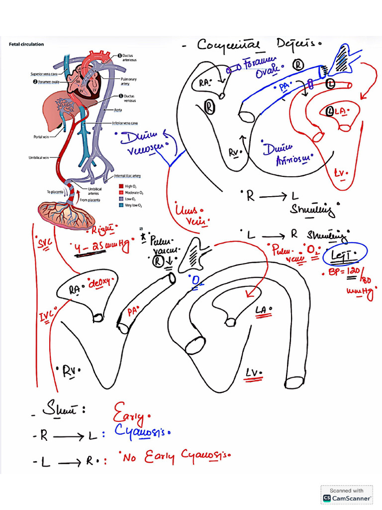 Cyanotic and Acyanotic Heart Diseases 2 | PDF