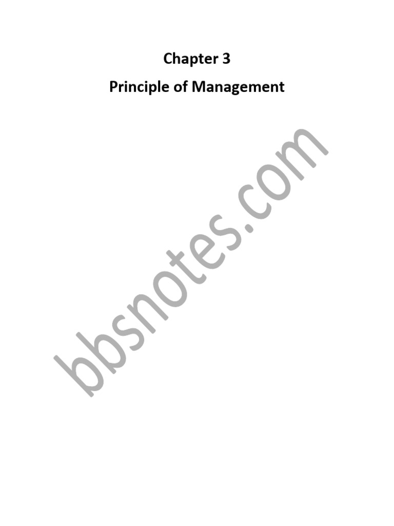 Chapter 3 Prnciple of Management | PDF