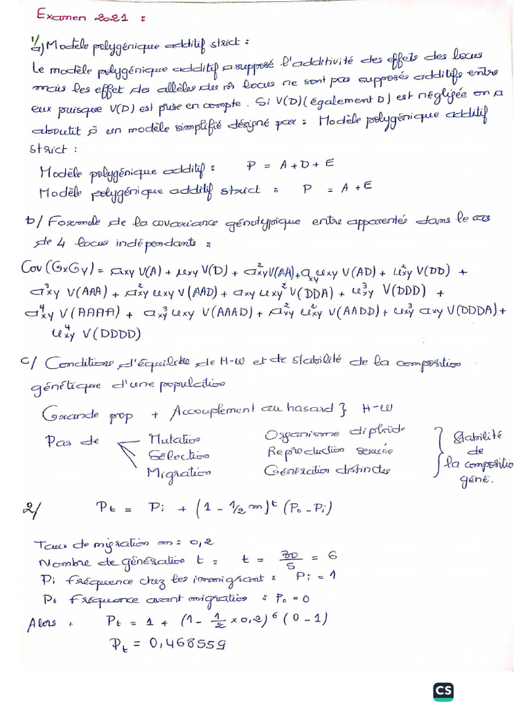 Exam 2021 (Falaki) | PDF