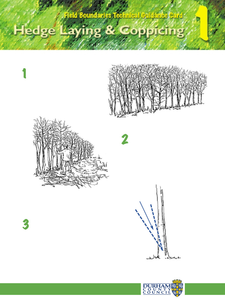 Hedge Laying and Copp Icing Card T | PDF | Hedge