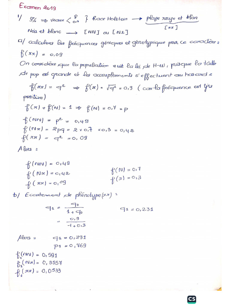 Exam 2019 1 (Falaki) | PDF