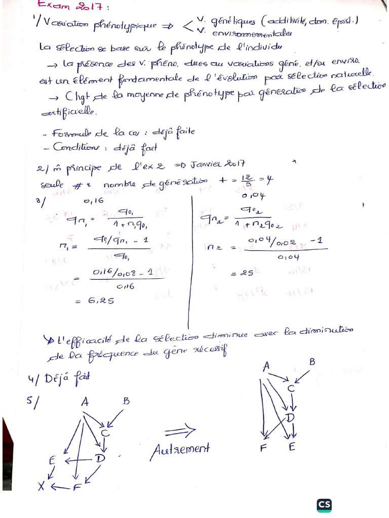 Exam 2017 2 (Falaki) | PDF