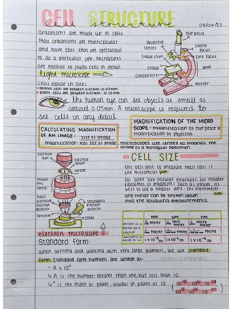 Cell Structure | PDF