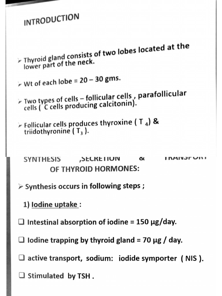 Thyroid Function Test Pdf 5171