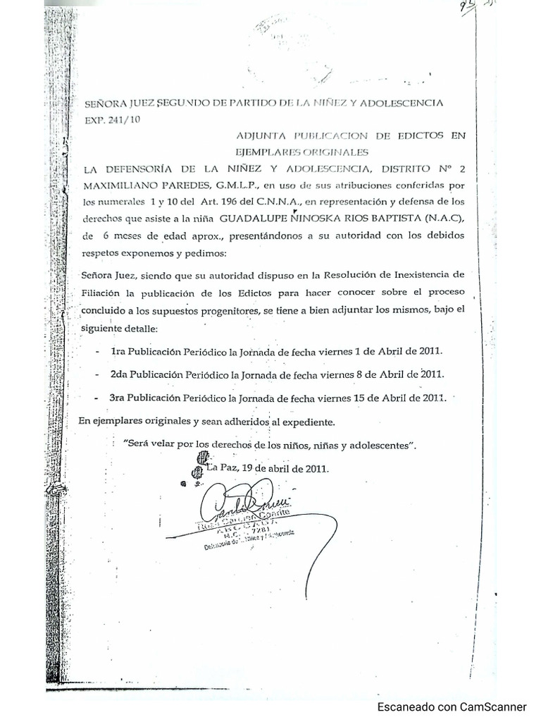 Adopción de Mañana Expo | PDF