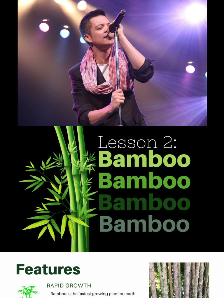 Bamboo | PDF