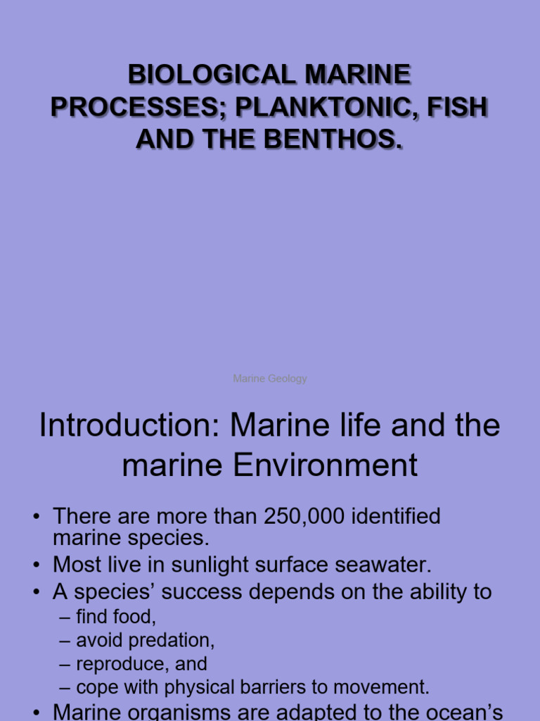 Marine Life: Plankton, Fish, and Benthic Zones | PDF | Territorial ...